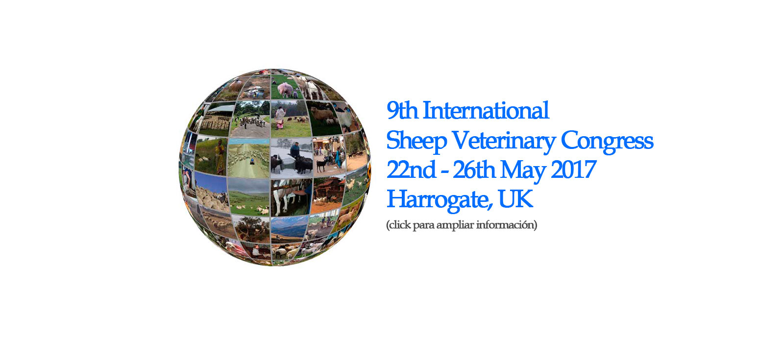 seoc-slide-2-es - SEOC